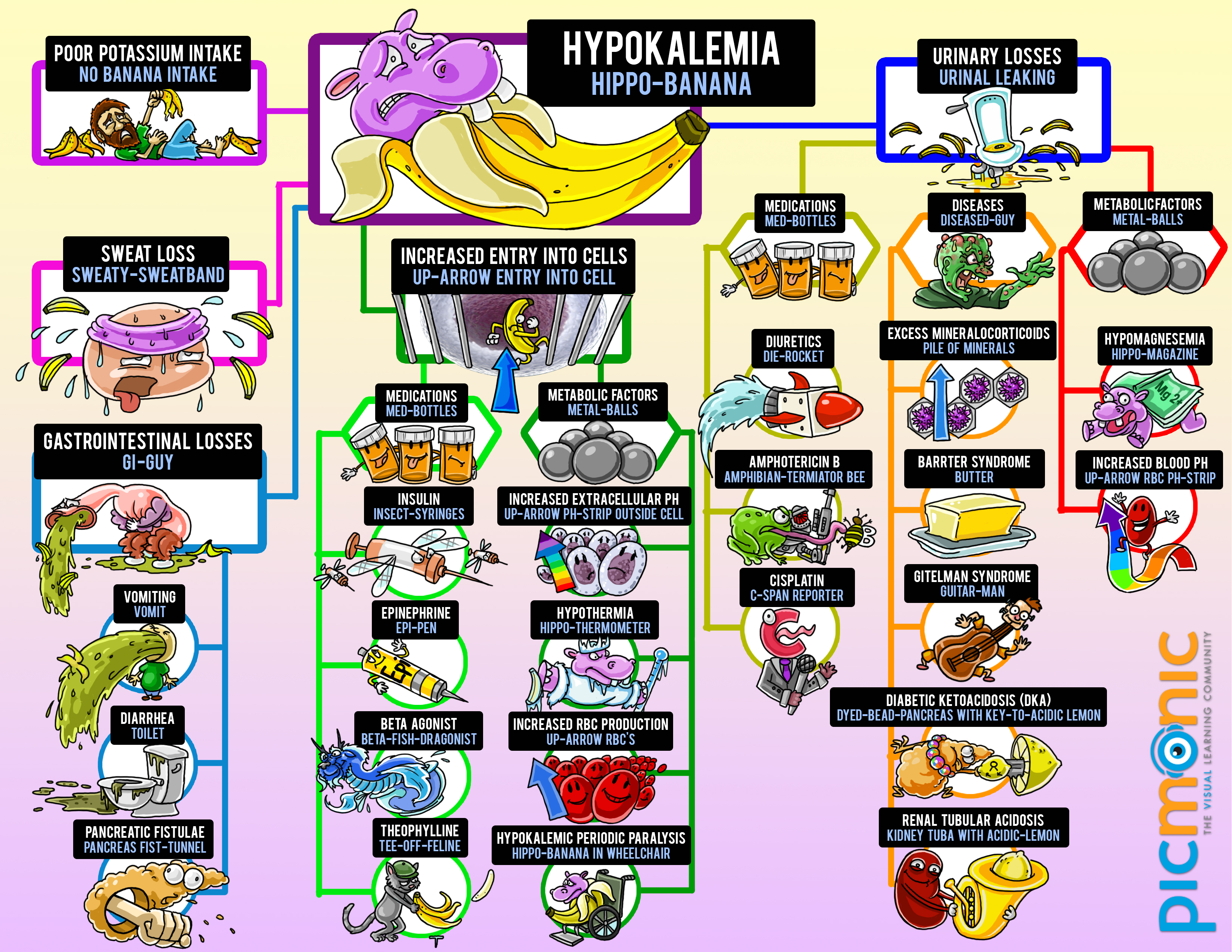 Electrolyte Disorders - Picmonic