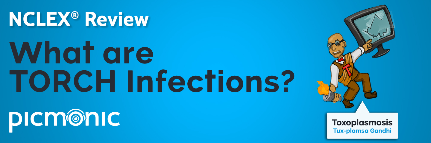 NCLEX Review: What are TORCH Infections? - Picmonic